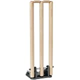 SH Spring-Loaded Heavy Base Stumps – Sports Hub